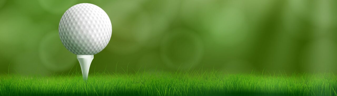 Golfzon | Global Golf Plus | Estevan, SK